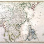 China Chantilly Cream Chaicha White Tea - Luminescents